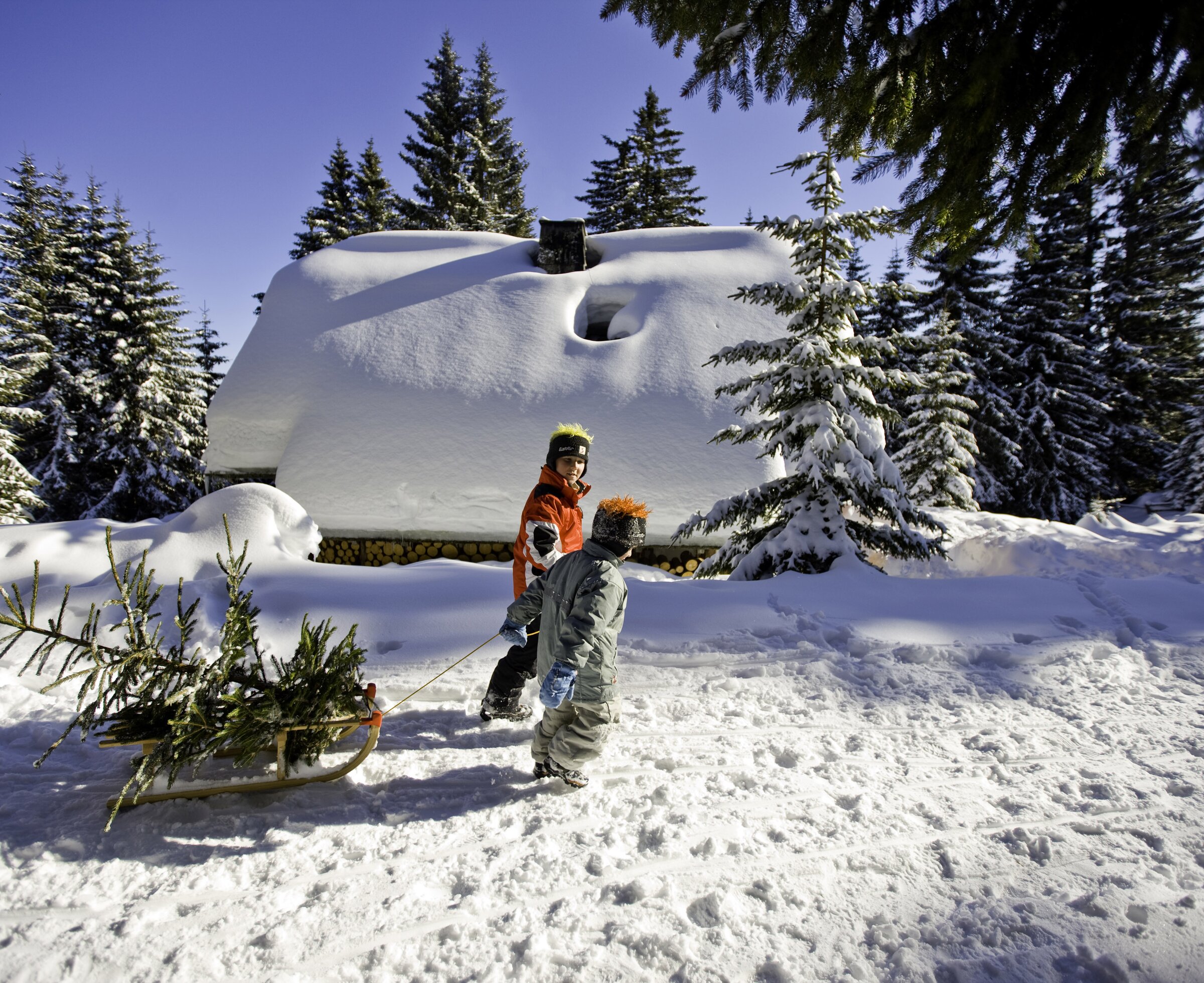 Almhüttenurlaub in Österreich | Urlaub auf der Alm
