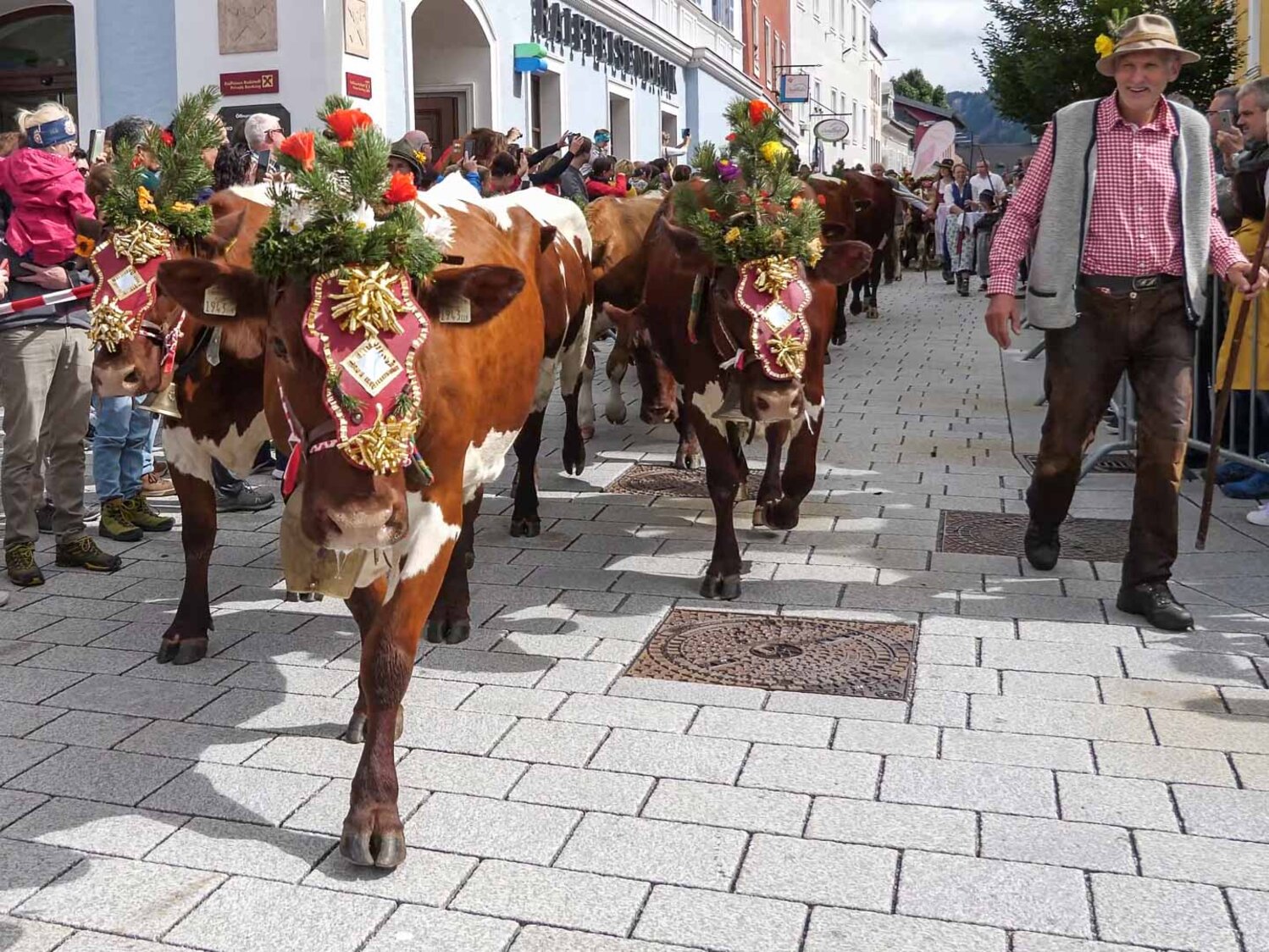 Erlebnis Brauchtum: Almabtrieb beim Urlaub am Bauernhof
