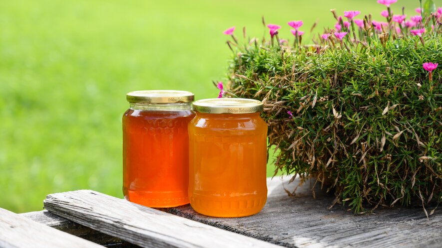 Honig - flüssiges Gold aus der Natur