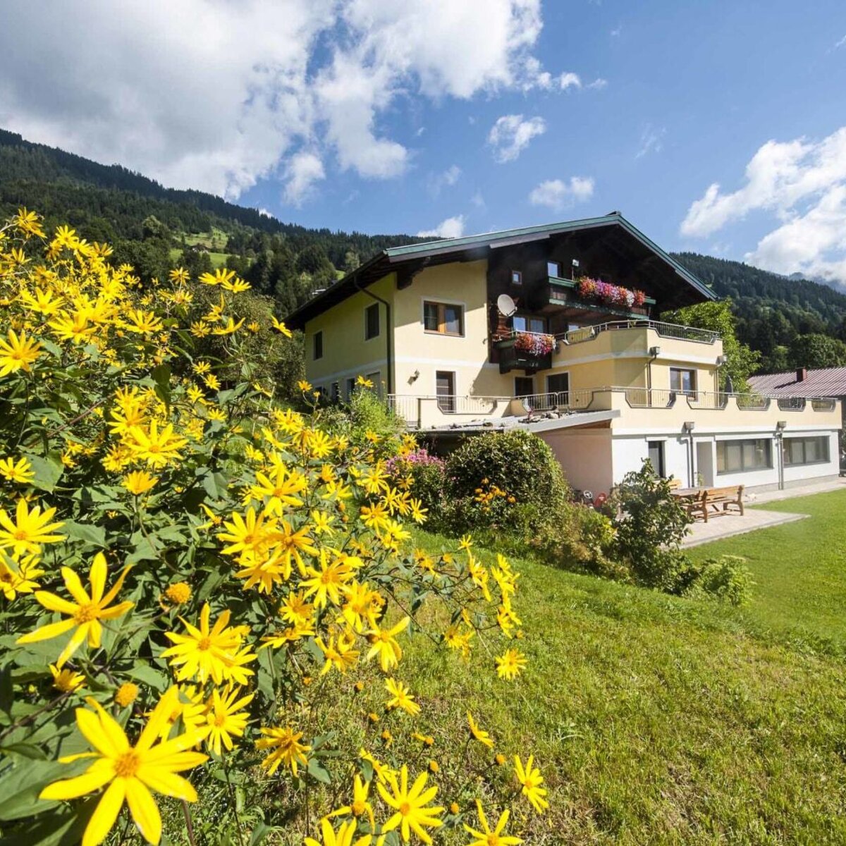 Urlauben am Biohof in Österreich | Urlaub am Bauernhof