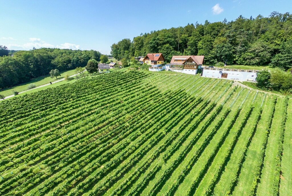 Weingut Lenhard, Südsteiermark, Urlaub am Bauernhof Steiermark