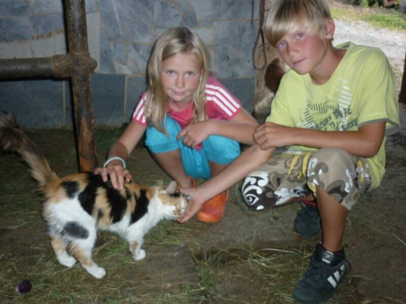Weifer Biobauernhof, Prägraten | Urlaub am Bauernhof
